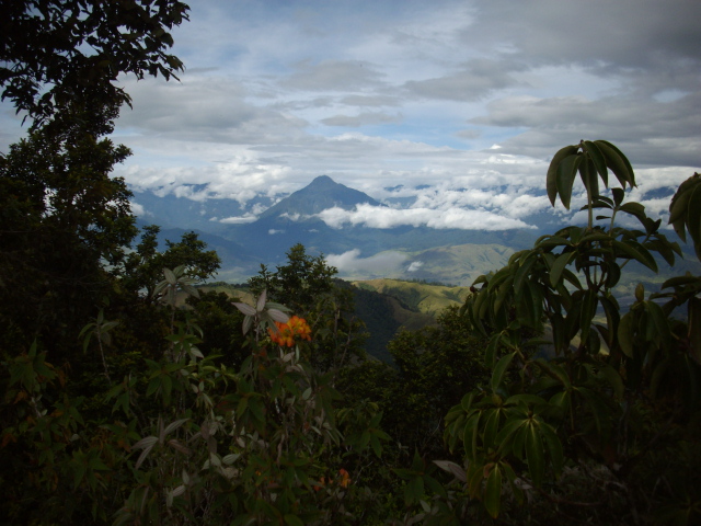 Shaggy Ridge Trek Update 17 May 2015 - Kokoda Historical (en-AU)